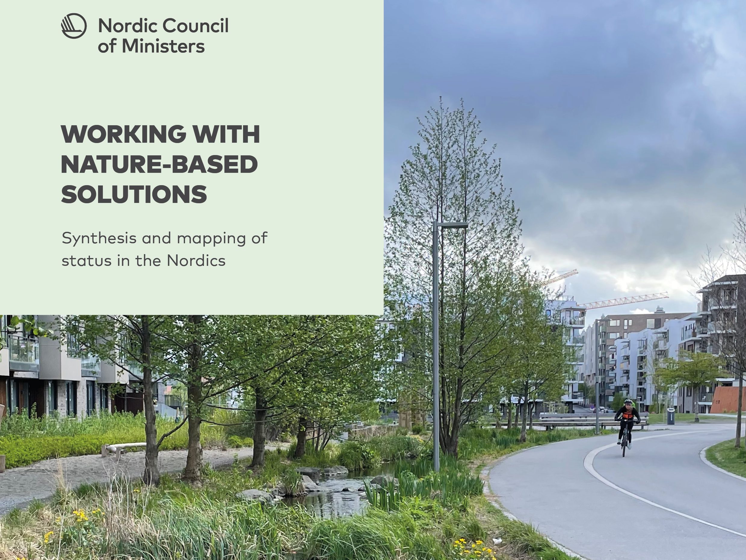 Final report: Great opportunities, but also challenges, for NBS in the ...